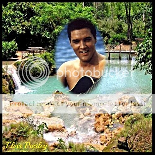 ElvisPresleyTCB’s Profile » NotOverTheHill