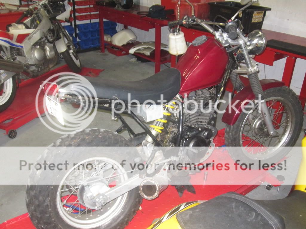 custom painted stock tw 200 tank | TW200 Forum